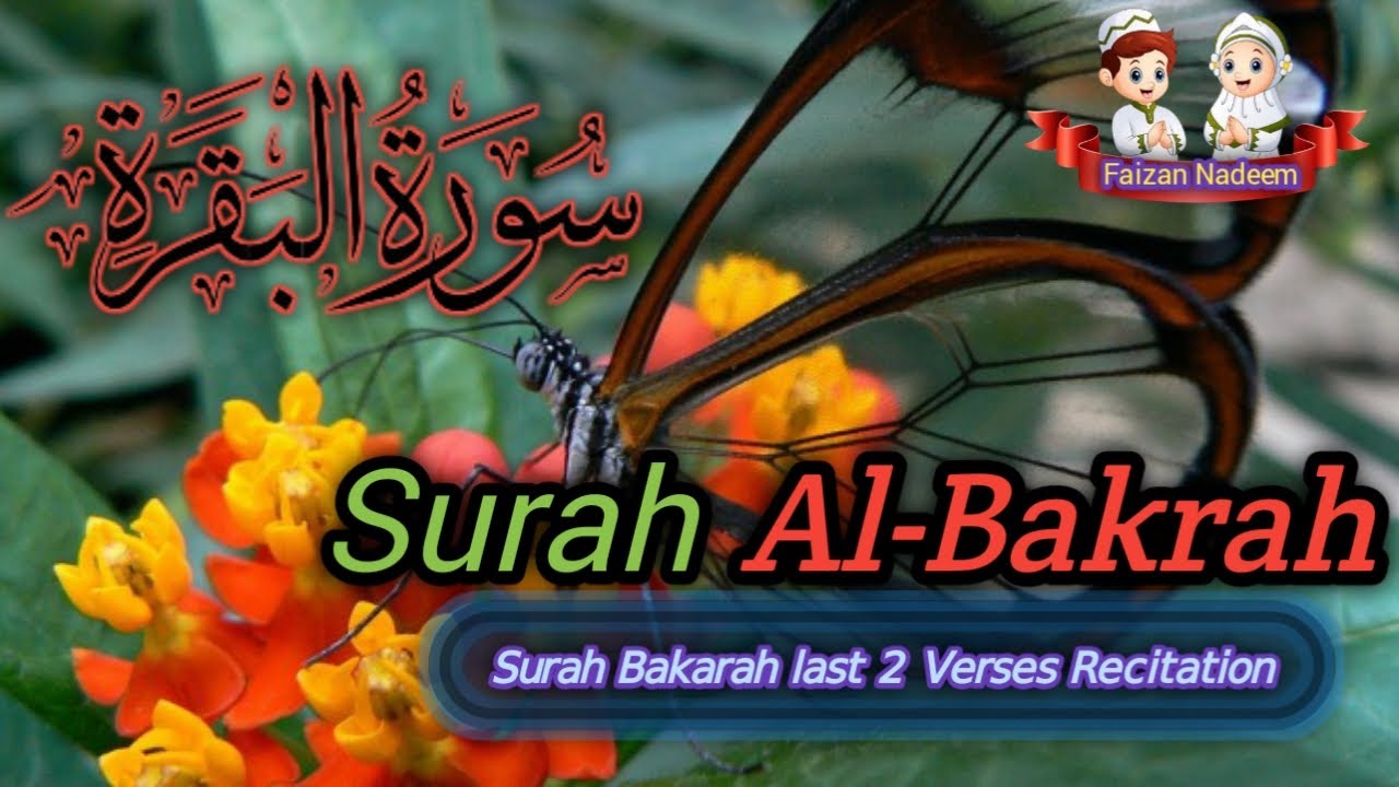 Surah Bakarah Ki Aakhri 2 Ayaat | سورۃ البقرہ کی آخری 2 آیات| last 2 ...