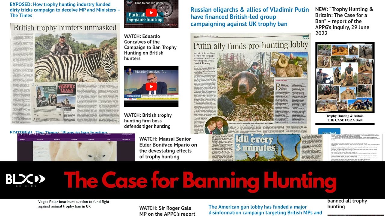 Is there a case for banning trophy hunting? - YouTube
