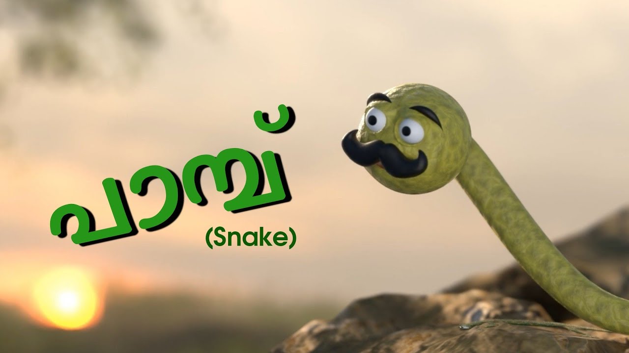 Paambu - പാമ്പ് (Snake) Malayalam Animation. - YouTube
