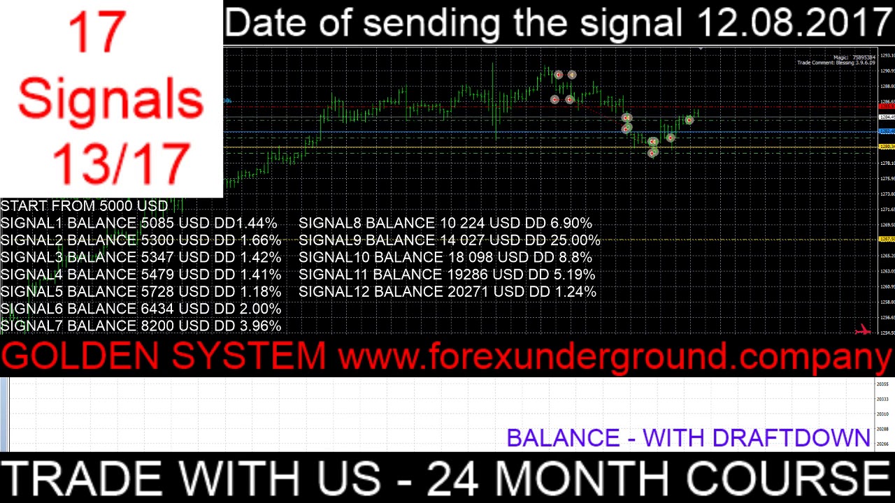 Signal 13 GOLDEN SYSTEM 17 signals from 5 000 to 50 000 usd - YouTube