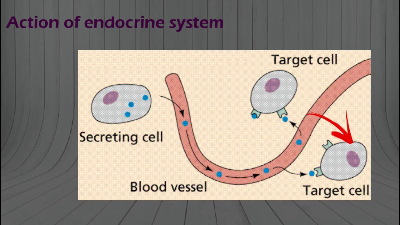 subtopic 6 3 - YouTube