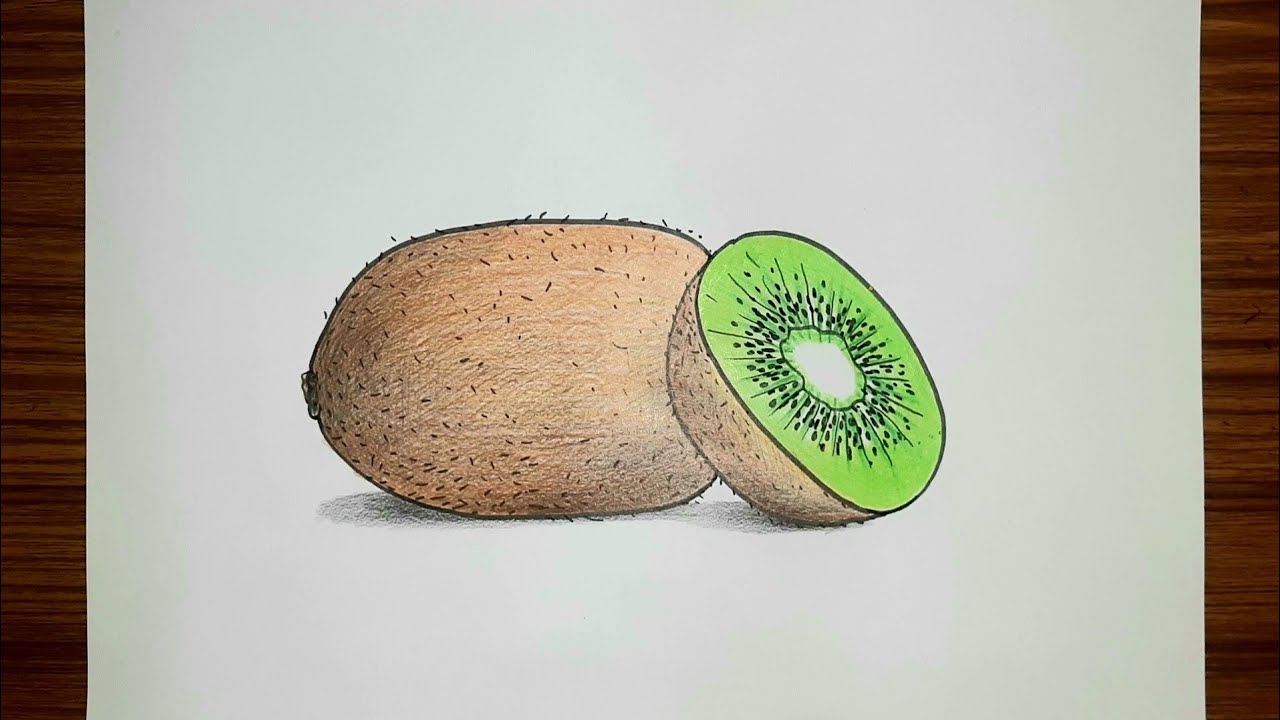 How to draw Kiwi fruit step by step | Kiwi fruit drawing easy ...