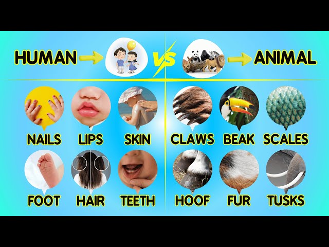 What Is A Part Human Part Animal Called