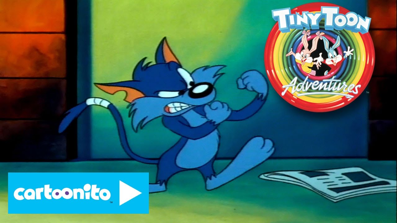 Tiny Toons Furrball