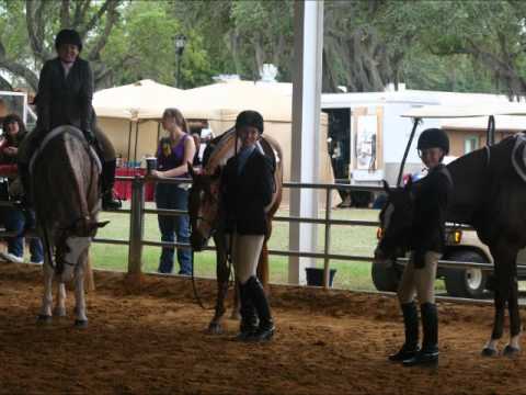 4-H Area Rocking horse Club - YouTube
