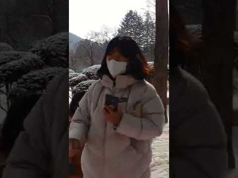 JUNSAN & YUJIN qish sanatasi