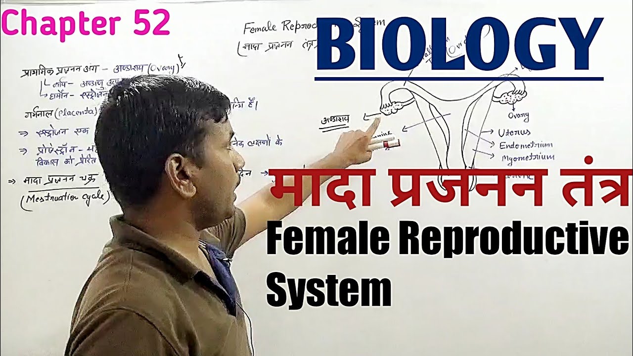Biology- Female Reproductive System मादा प्रजनन तंत्र - YouTube