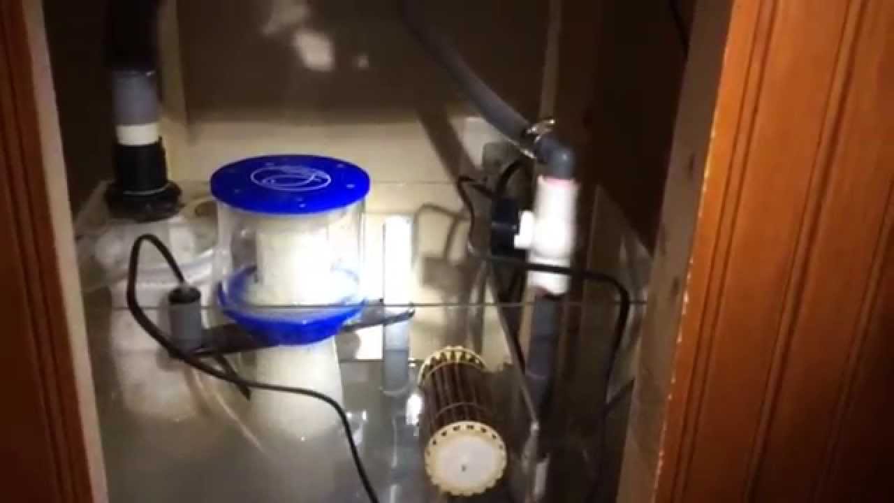 Setting up a salt water tank with a wet / dry sump filter tank protein ...
