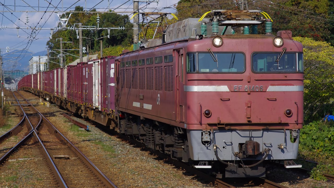 EF81-406牽引 4095レ 弥生が丘駅通過 2024.12.7 #鉄道 #貨物列車 #九州 #4095レ #ef81 #ef81406 ...