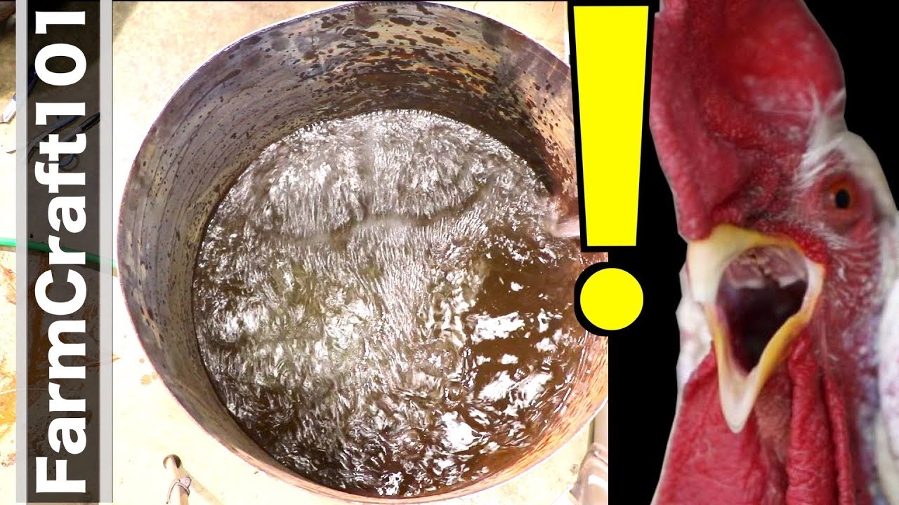 Making a Chicken Scalder From An Old Water Heater. FarmCraft101 - YouTube