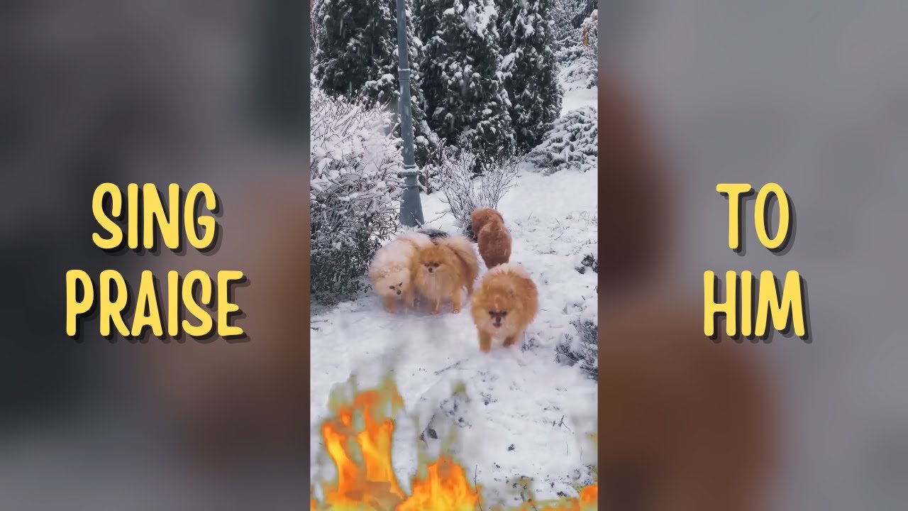 Song of the Three Holy Children (Daniel 3) - YouTube