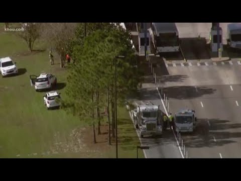 14 injured in Disney World bus crash - YouTube