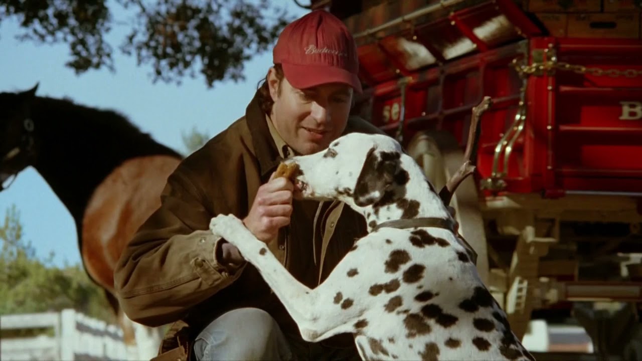 Superbowl Commercials (2009) - Budweiser Fetch - YouTube