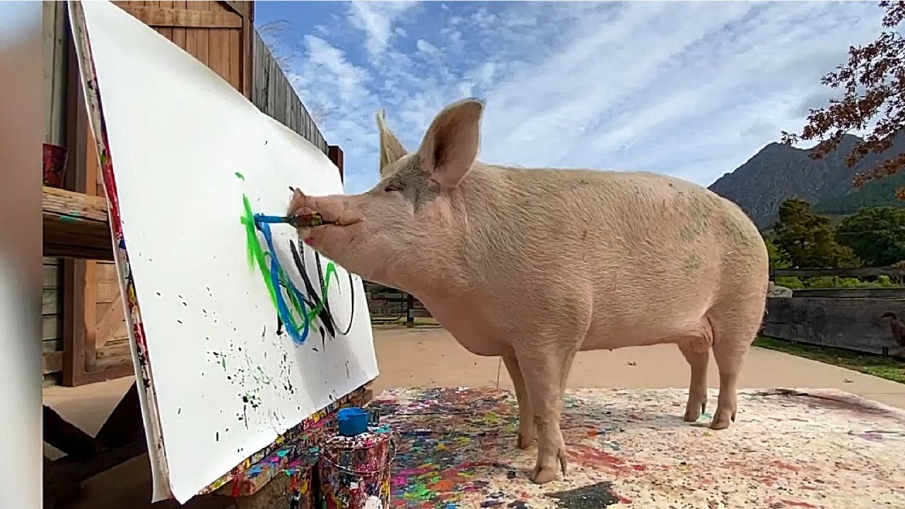 A Pig That Can Paint - YouTube