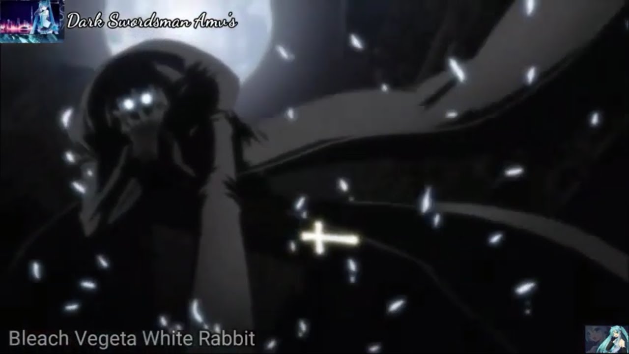 Hellsing Ultimate Amv Whatever it takes - YouTube