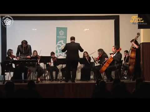 The Girl From Ipanema, Jobim-Trakya Akademi Oda Orkestrası,Vibrafon: Can TUTUĞ,Şef: Bahadır ÇOKAMAY