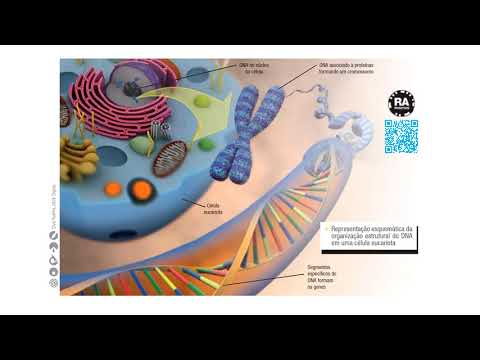Material genético, DNA e divisões celulares - Ciências - Profª Adriana ...
