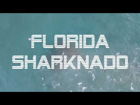 New Florida Sharknado Series on YouTube! SurfAllDayA1A Ongoing Releases ...