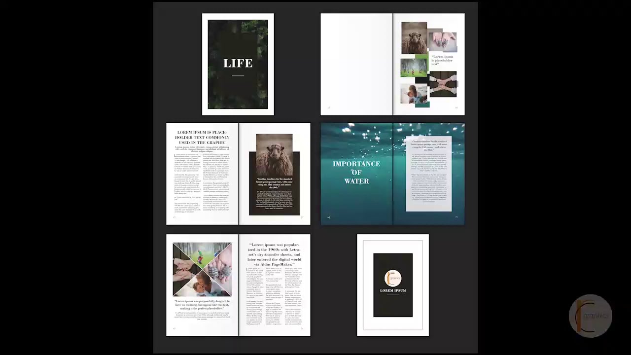 Flip Book | How to create flip book in Adobe After Effect & photoshop ...