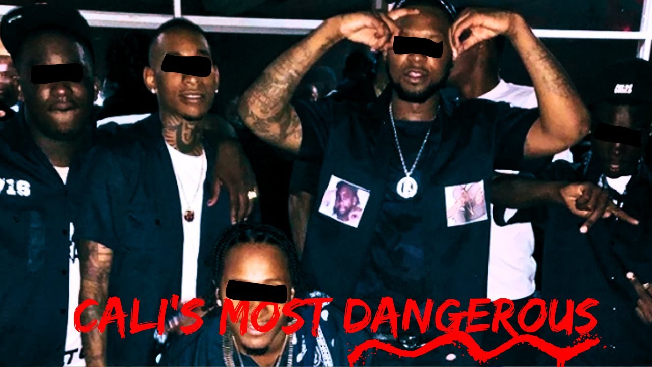 Rollin 100s crips kill civilian mistaken for Hoover member | Hoovers vs ...