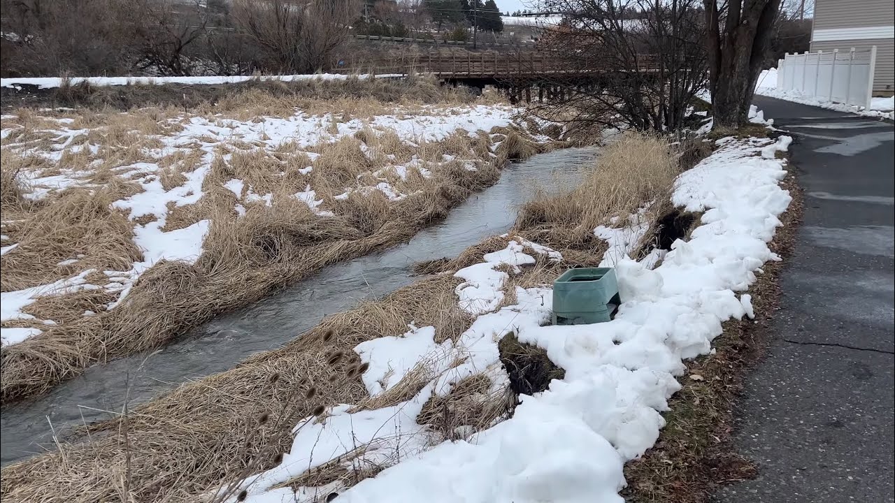 Pullman, WA: “Paradise Creek” The South Fork Of The Palouse River at ...