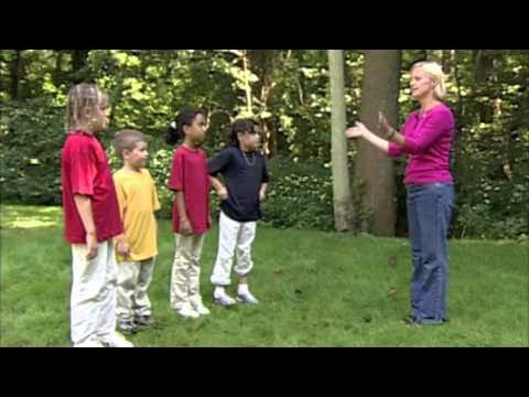 ABLLS D3 Motor imitation of gross motor movements with verbal prompt ...