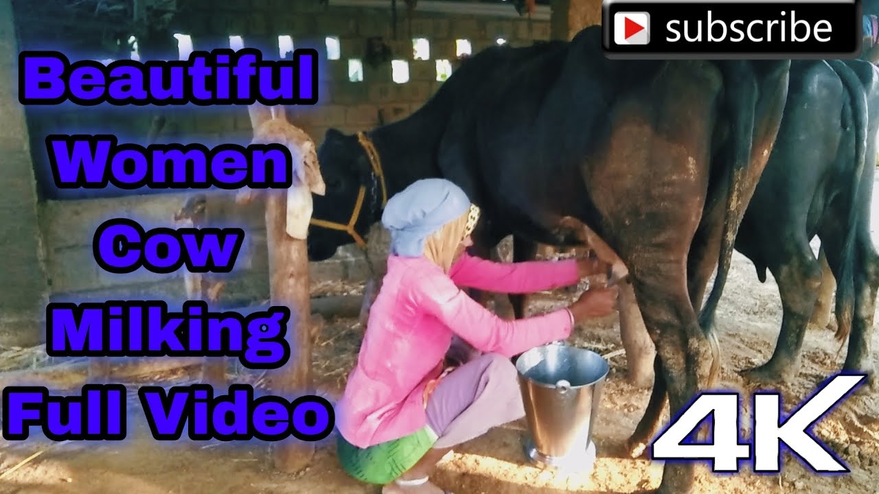 Beautiful women Cow Milking Full Video #milking - YouTube