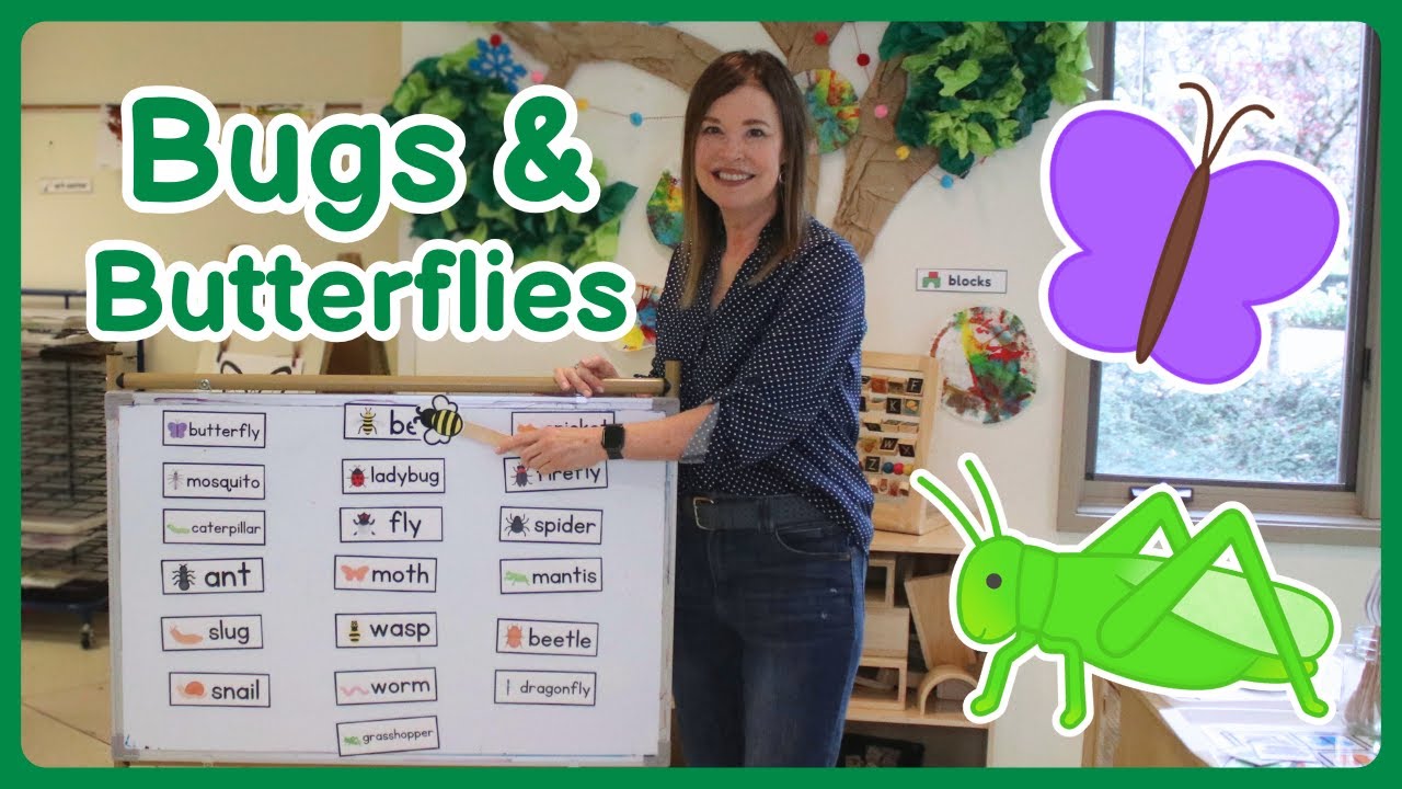 Toddler and Preschool Bugs & Butterflies Theme - YouTube