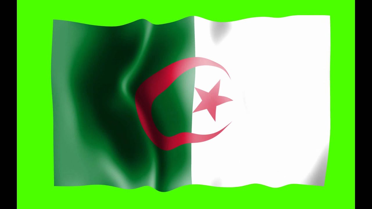 Algeria Flag Green Screen - Free Royalty Footage - YouTube