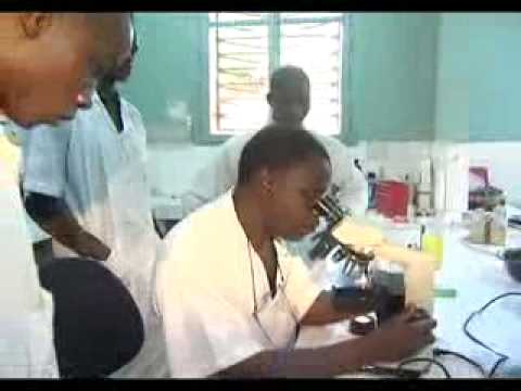 Présentation Laboratoire CHU Point G - YouTube