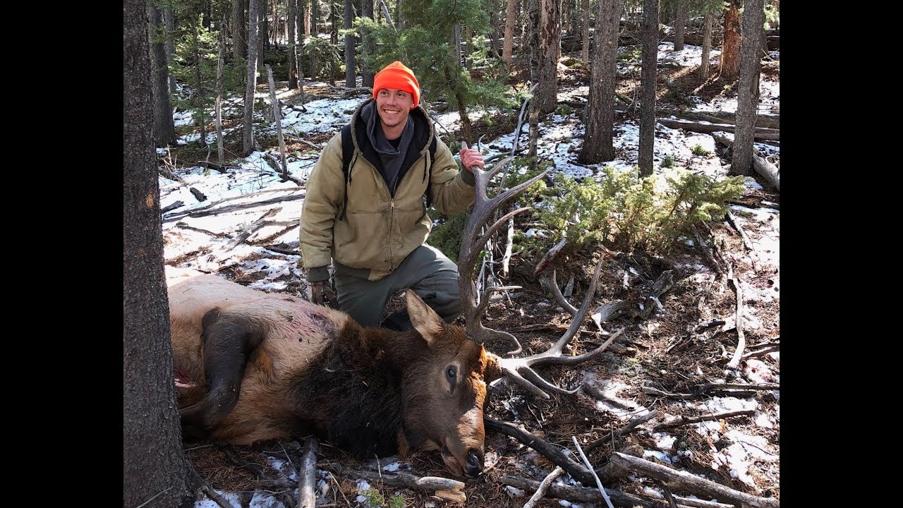 Elk Hunt 2017 - "Colorado Wonderland" - TSO Chasin' Tail S1 EP4 - YouTube