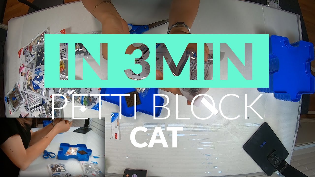 Petti Block in 3min_Cat - YouTube