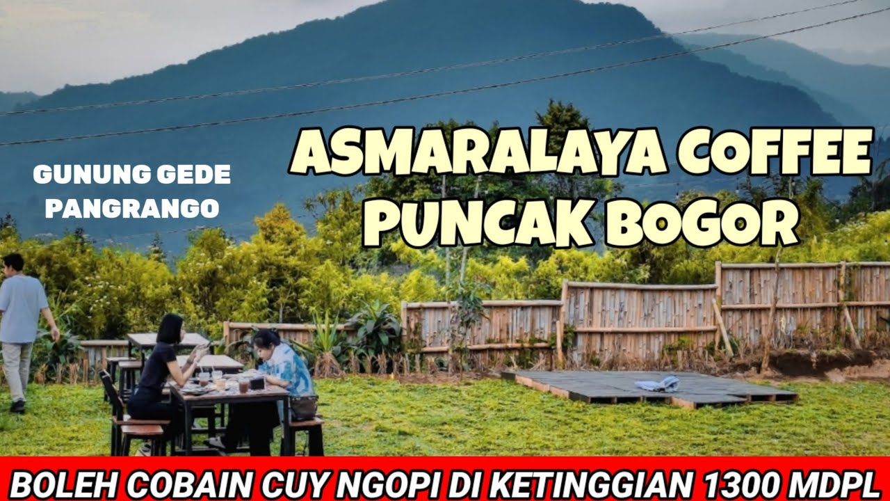 ASMARALAYA Coffee & Roastery || Tempat Santai Dengan View Gunung Pangrango Yang Keren Abis - YouTube
