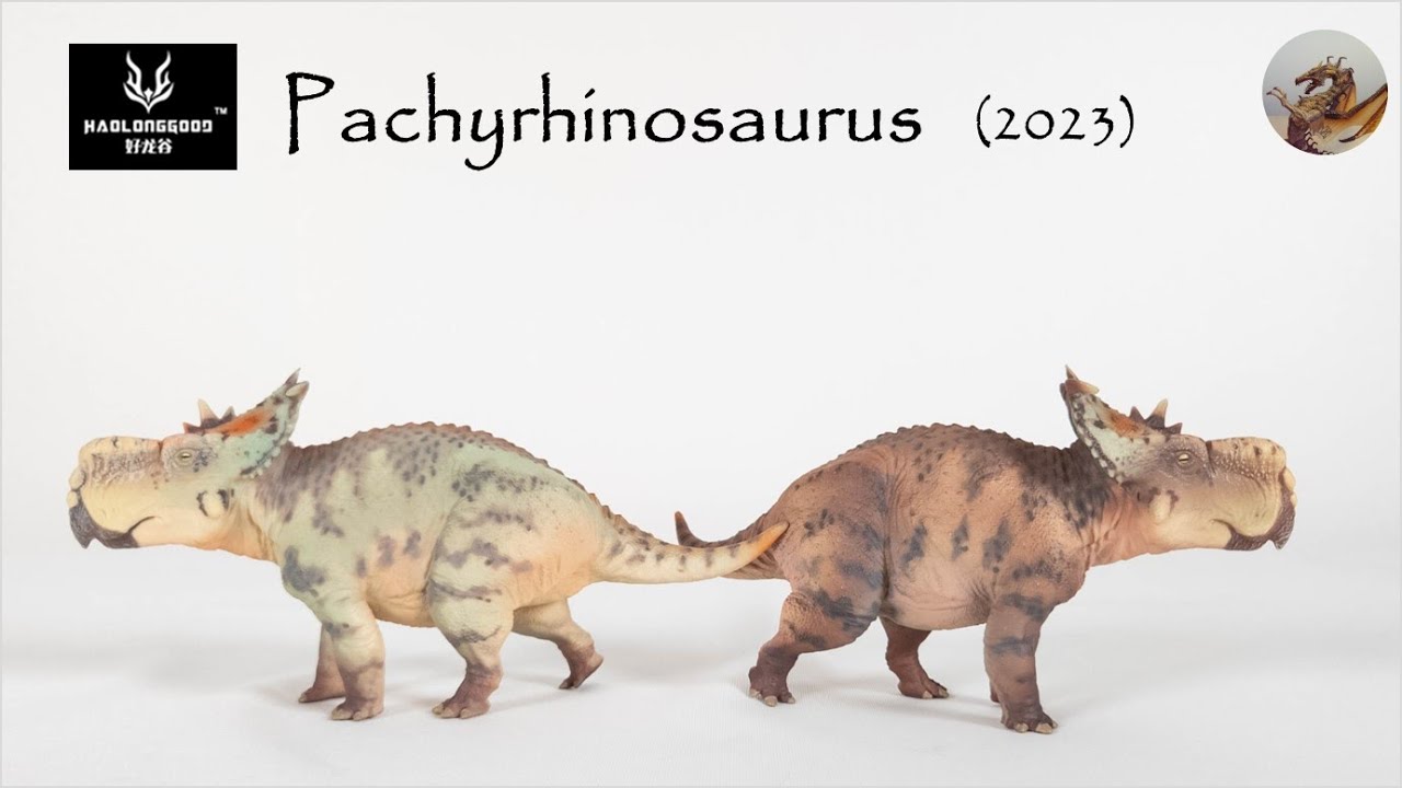 Pachyrhinosaurus