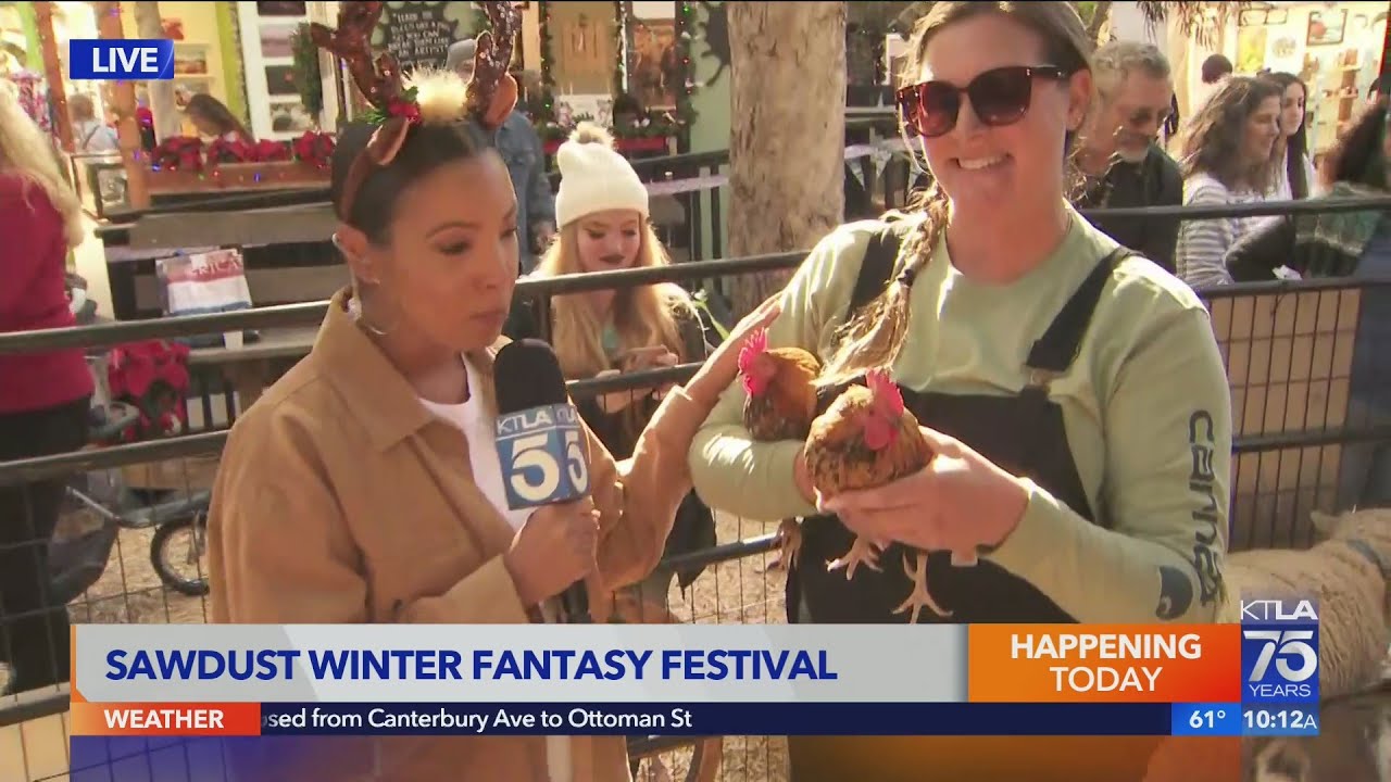 Sawdust Winter Fantasy Festival 2022 in Laguna Beach - YouTube