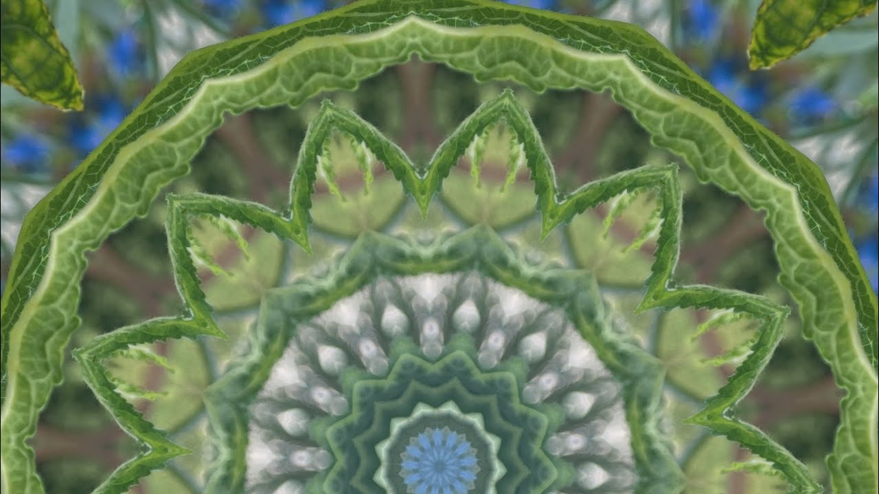 Communication Vlog 5: Stepping into a Love Matrix - YouTube