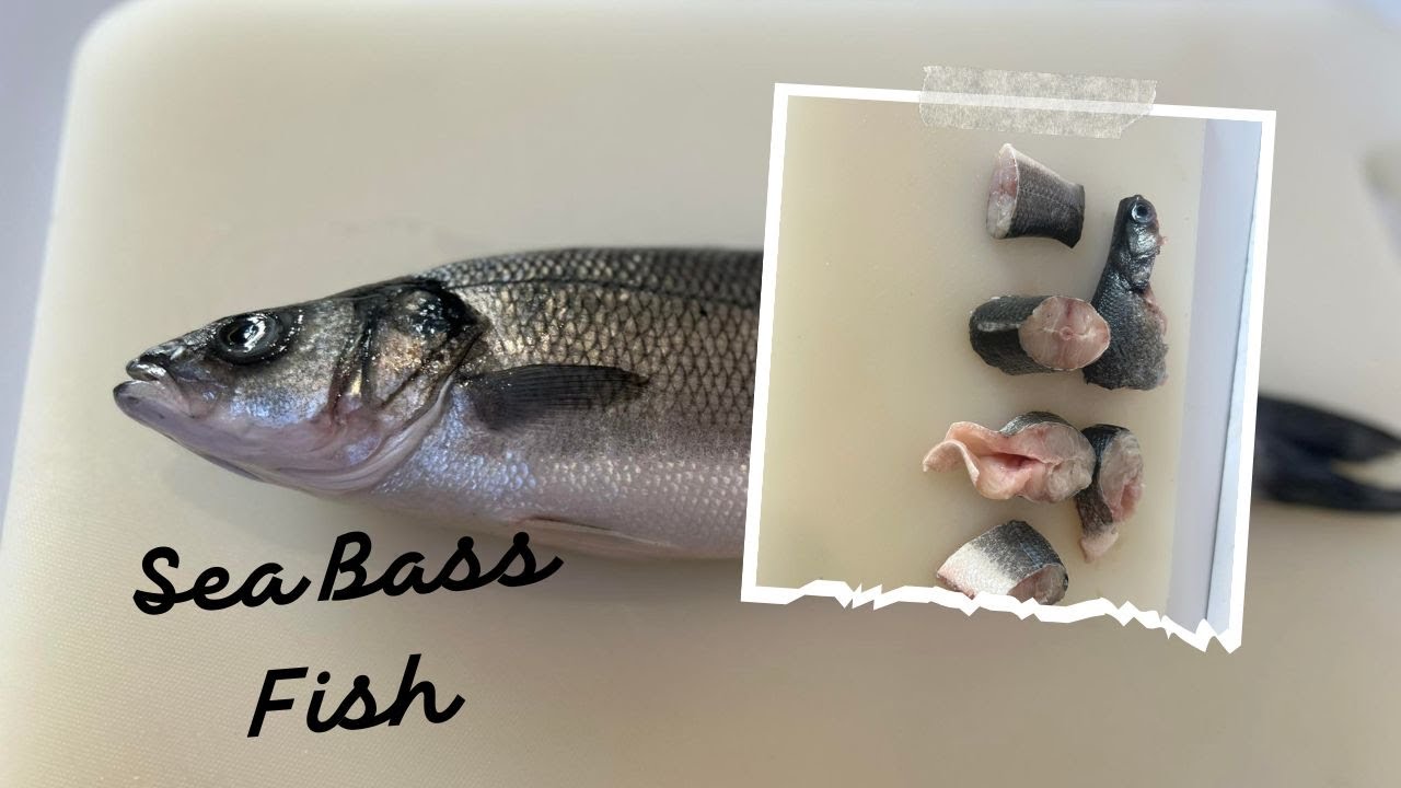 How to cut Sea Bass Fish | Sea Bass Fish Cleaning | Sea Bass Fish ...