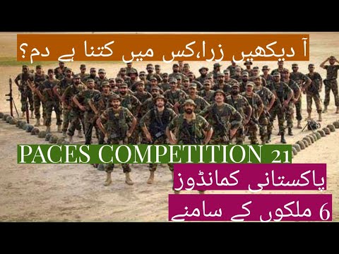 International Physical Agility and Combat Efficiency System | PACES ...