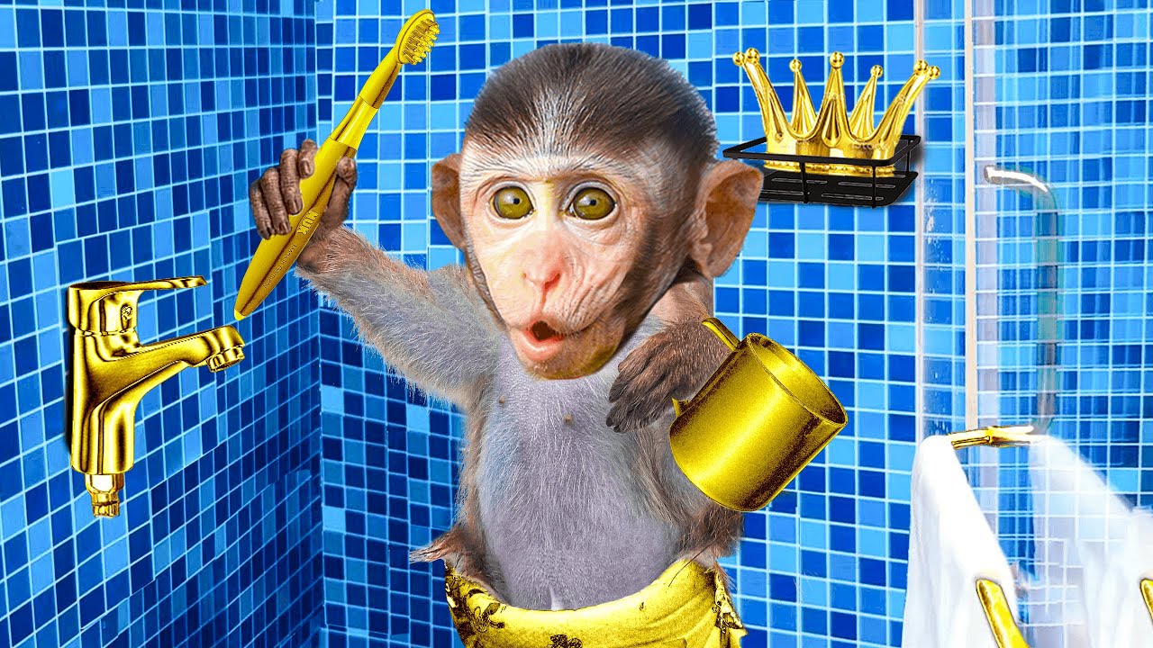 Baby Monkey Chu Chu Harvesting Fruits and Swimming with Ducklings in ...