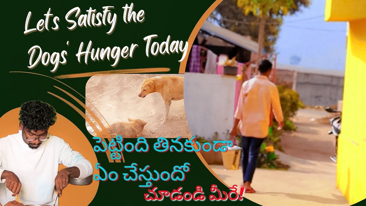 Let’s Satisfy the Dog’s Hunger Today | పెట్టింది తినకుండా ఏం చేసిందో ...