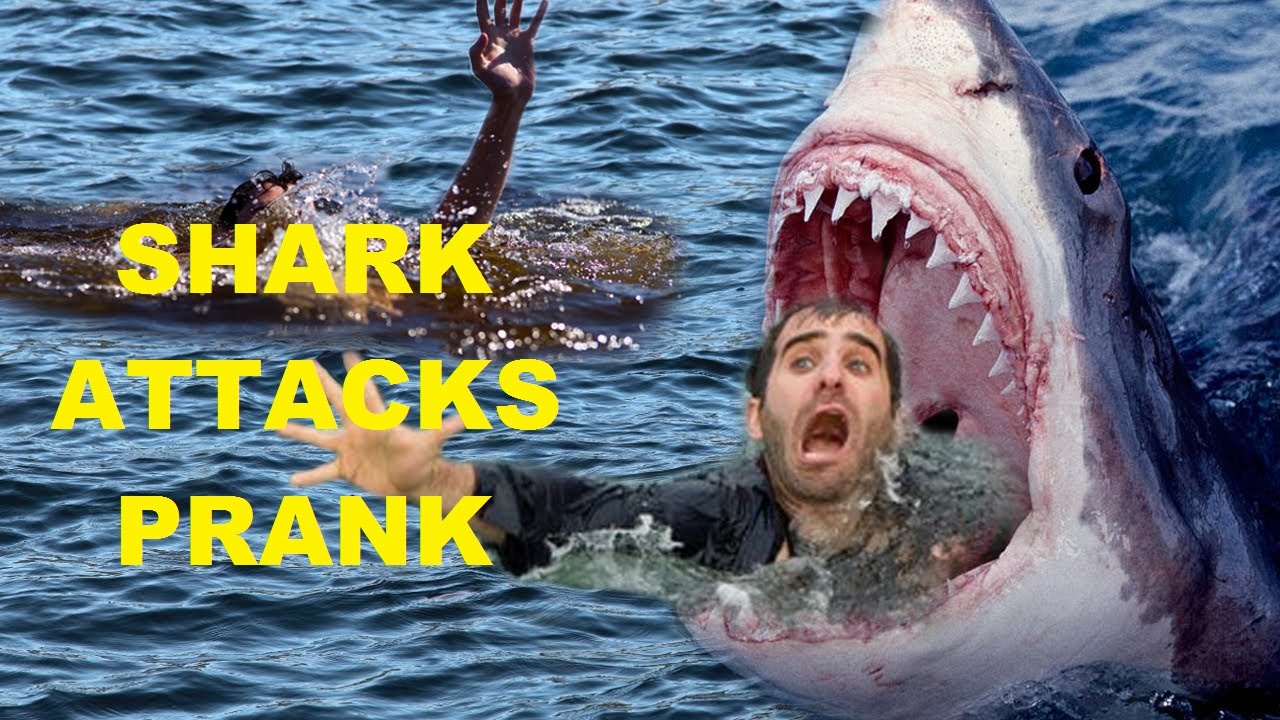 Shark attacks Prank. Beach Prank - YouTube