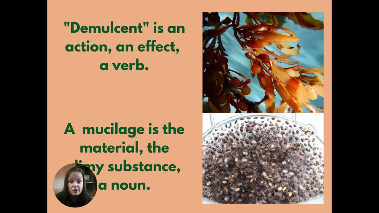 BEGINNER HERBALIST FILES: ACTIONS OF HERBS - Demulcents - YouTube