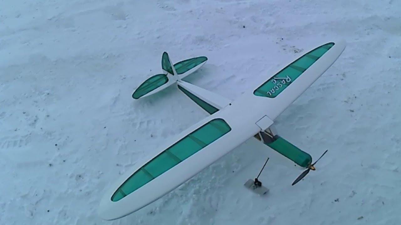 Sig Little Rascal on skis 🎿 - YouTube