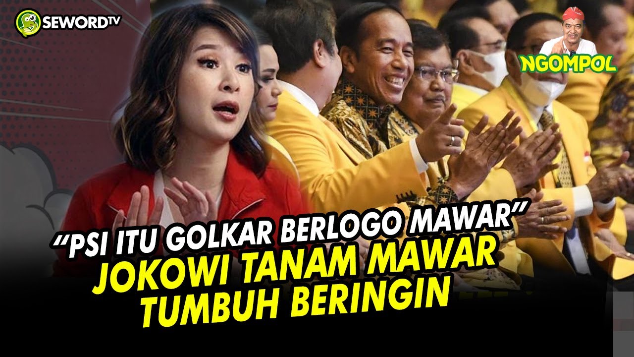 Begawan: "PSI ITU GOLKAR BERLOGO MAWAR", JOKOWI TANAM MAWAR, TUMBUH ...