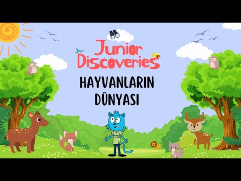 Hayvanları Tanıyalım!  - 40 Dakikalık Özel Video #animals #animation #viral #viralvideo