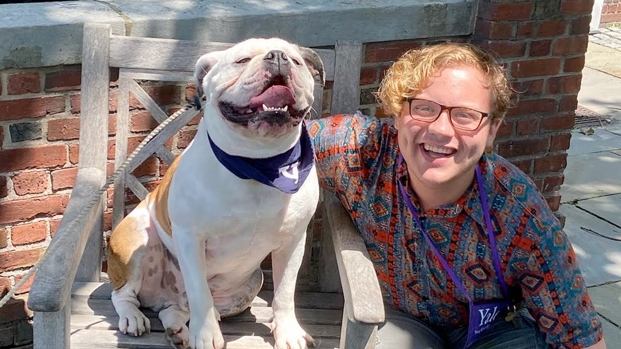 meeting handsome dan at yale 🐶 - YouTube