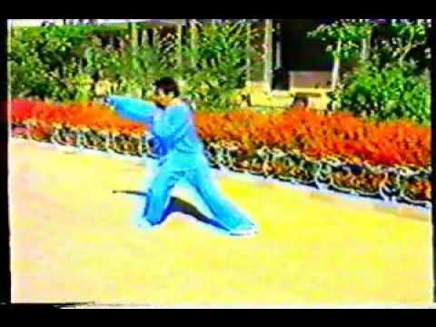 Chen style Taijiquan lao jia 1 lu - YouTube