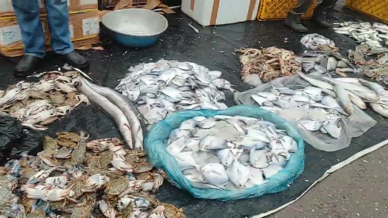 Hyderabad Ramnagar market fish market...🐟🐟🐟🐟🐟🐟🦞🦐🐠🐋🦀🦀🦞🦞🦐🦐🦐 - YouTube