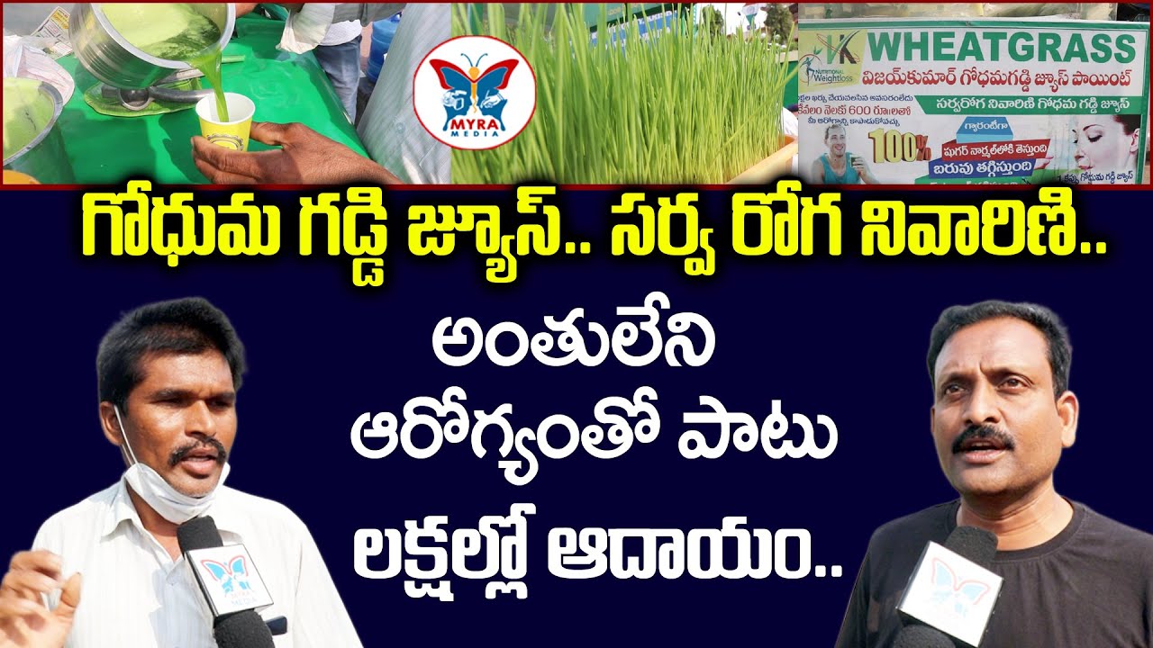 గోధుమ గడ్డి రసం ప్రయోజనాలు | Health Benefits With Wheat Grass | Godhuma ...