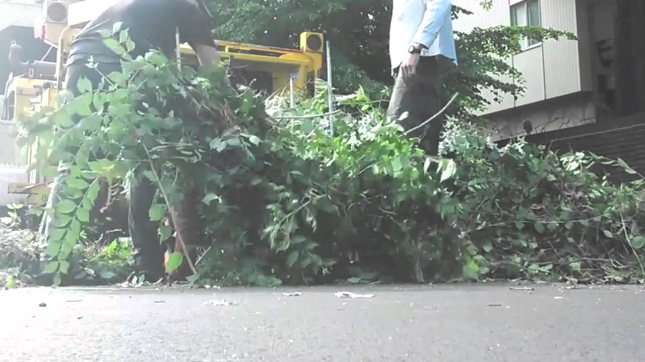 Stein Arbor Trolley - More than Logs - YouTube